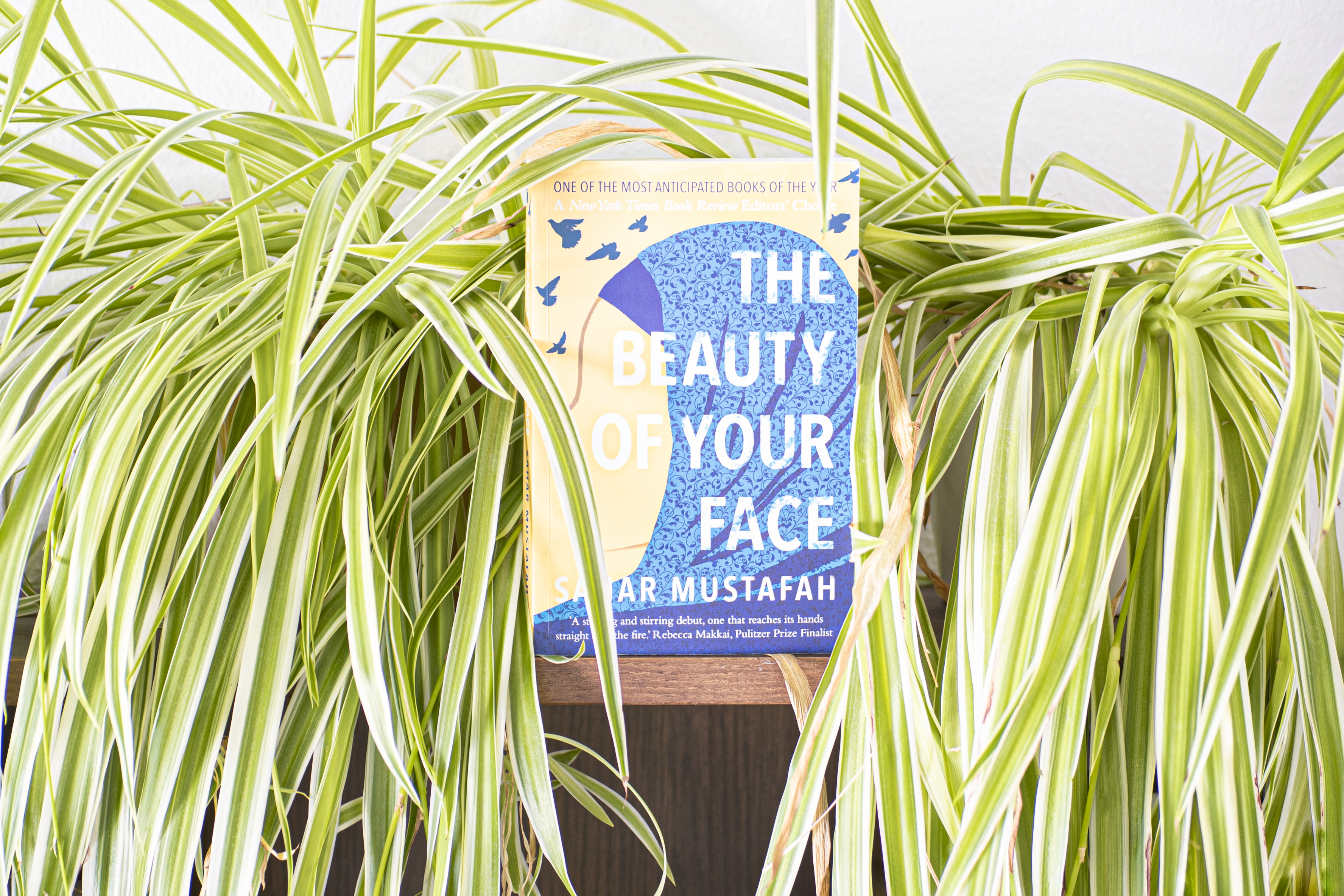 Recensie: The beauty of your face – Sahar Mustafah – leesliever