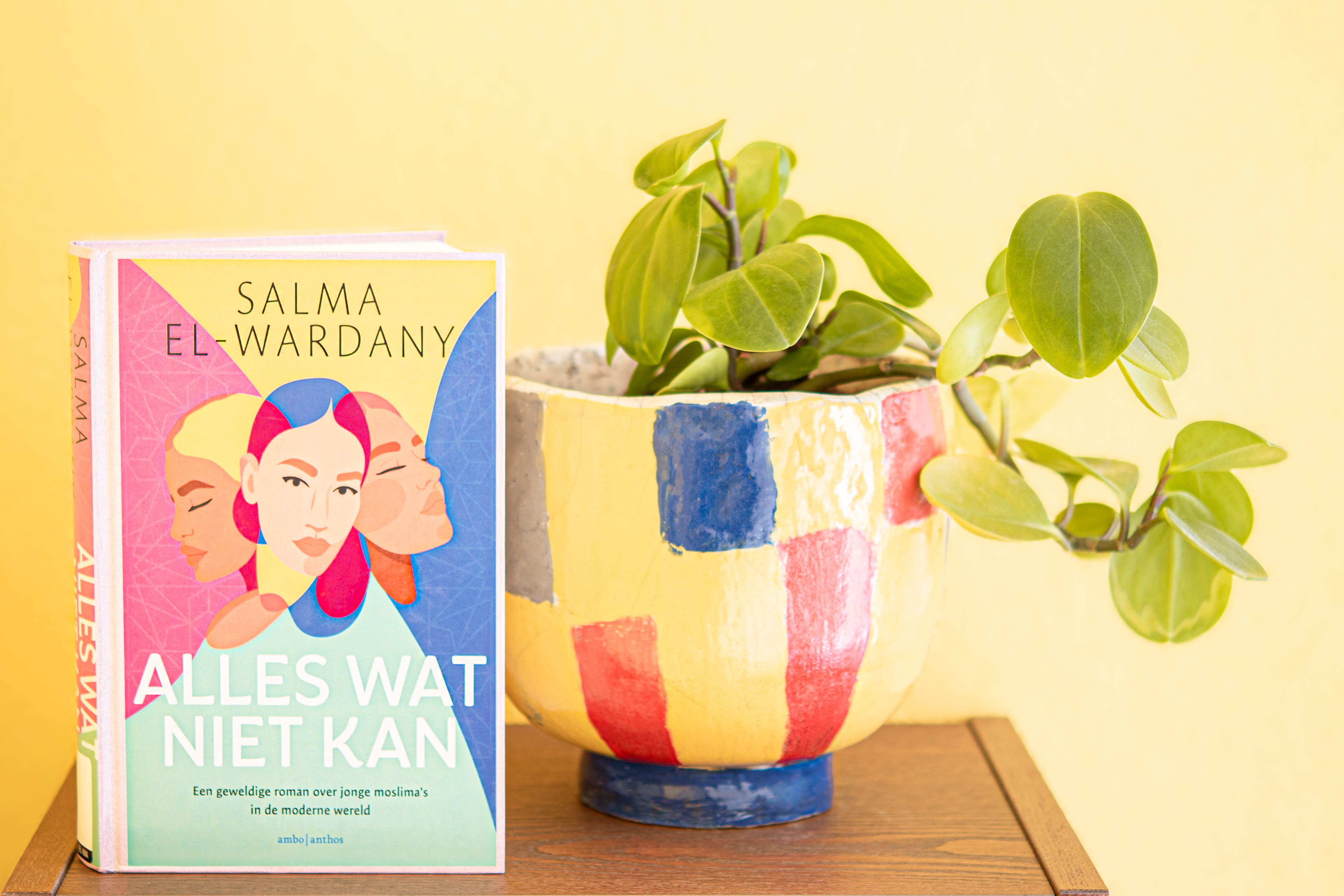 Recensie: Alles wat niet kan – Salma El-Wardany – leesliever
